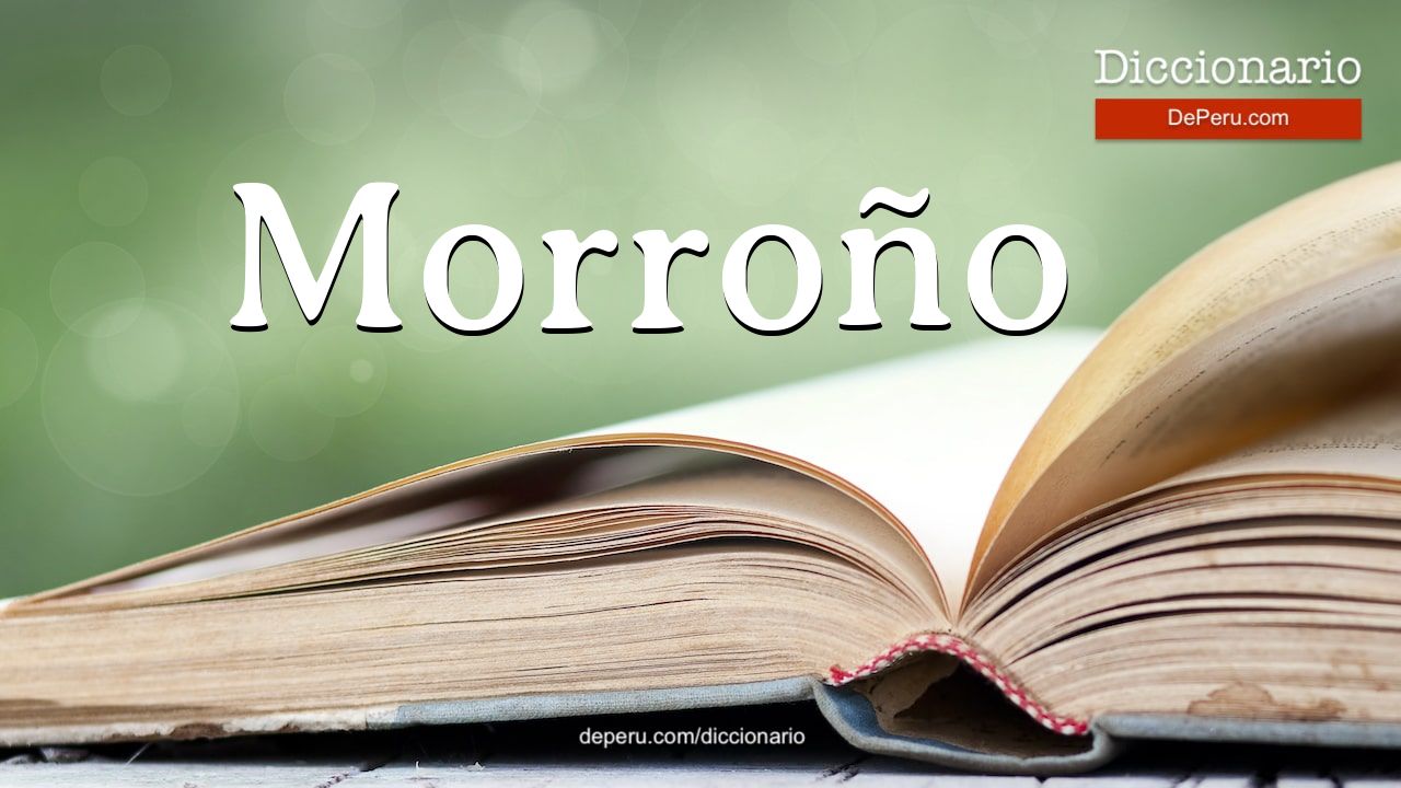 Palabra Morroño en el diccionario