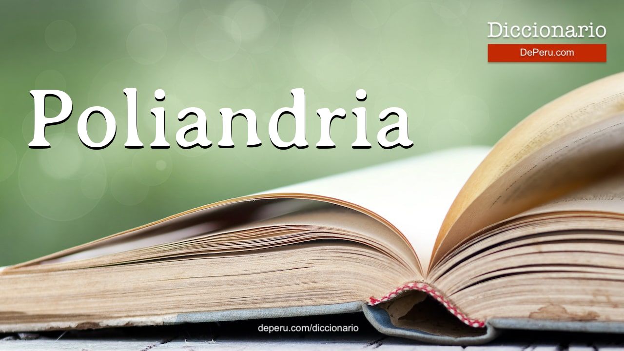 Palabra Poliandria en el diccionario